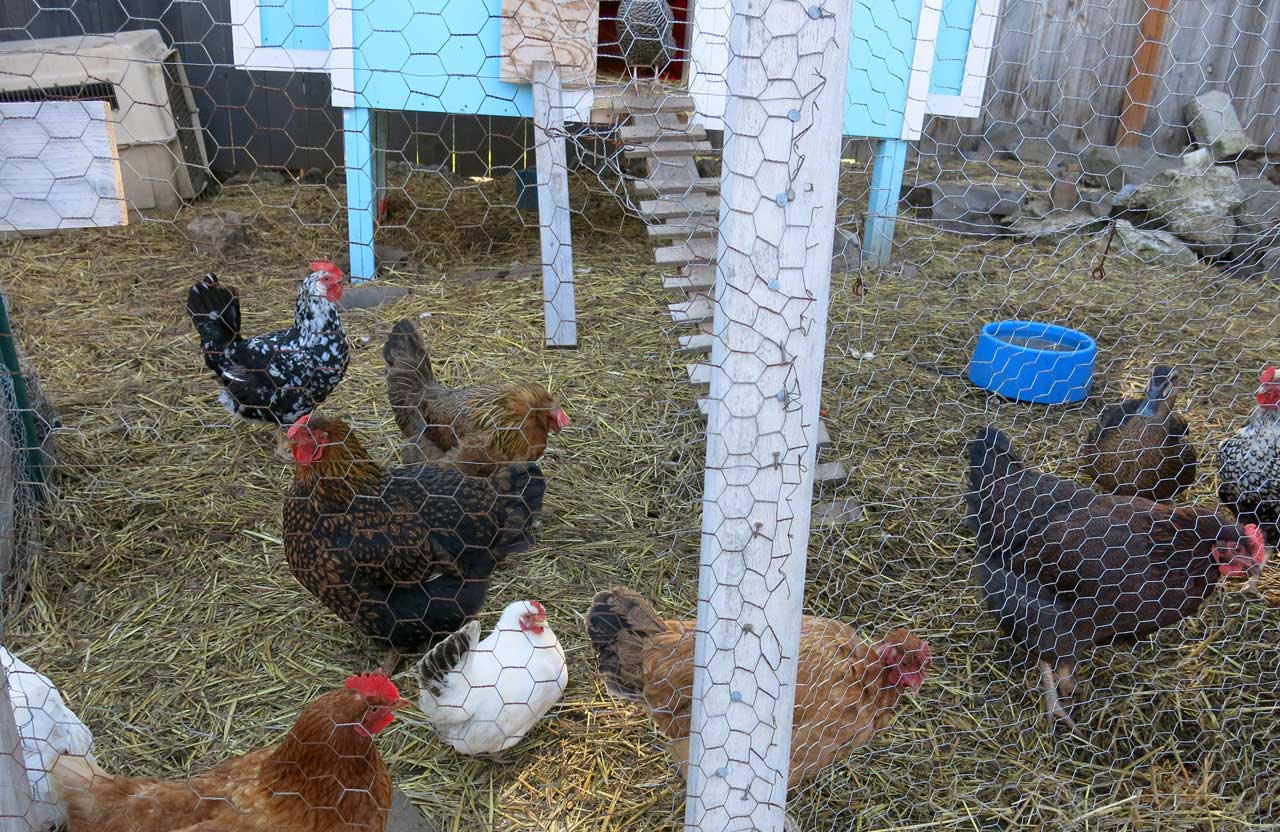 Urban Farming Approved in City of Spokane - City of Spokane, Washington