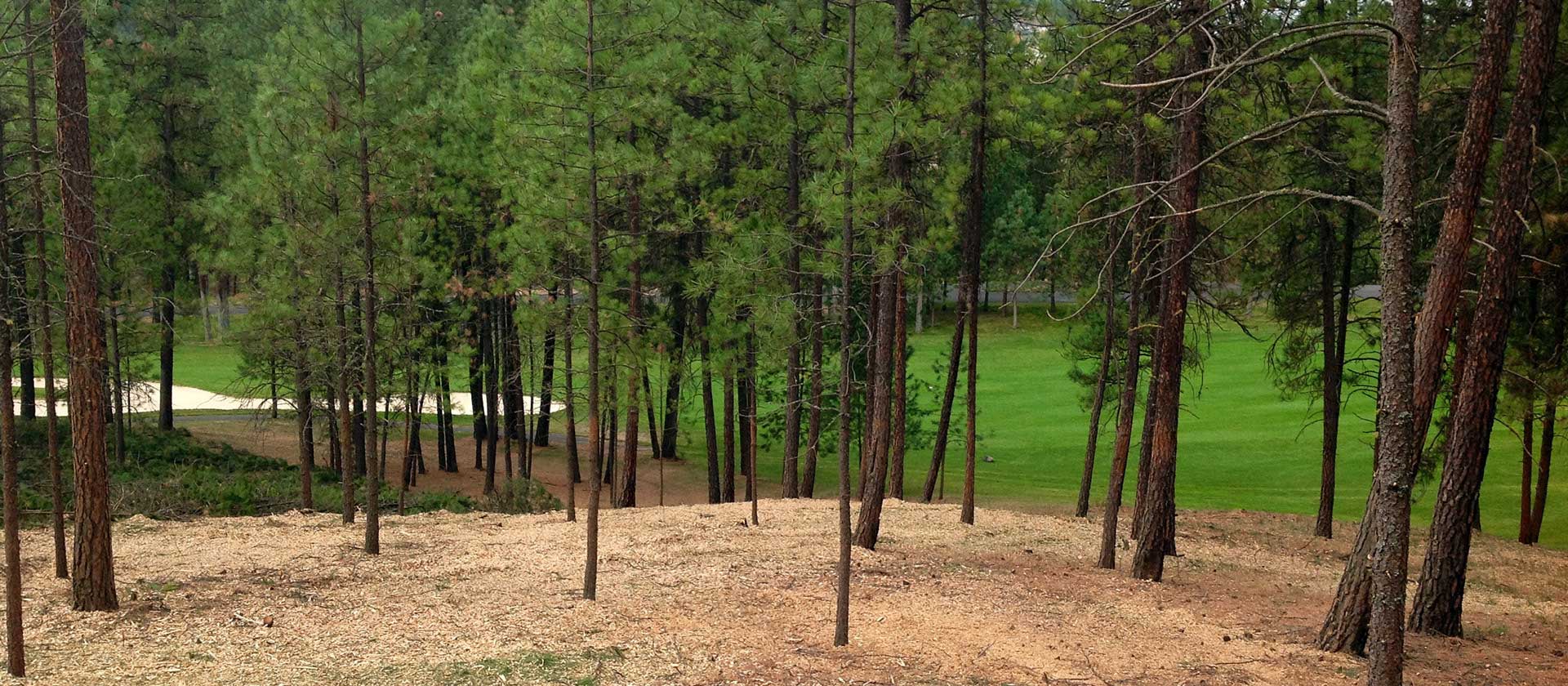 Urban Forestry - City of Spokane, Washington