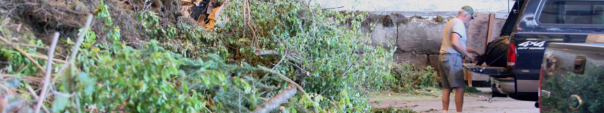 City Providing Free Disposal of Tree Debris from Storm - City of ...