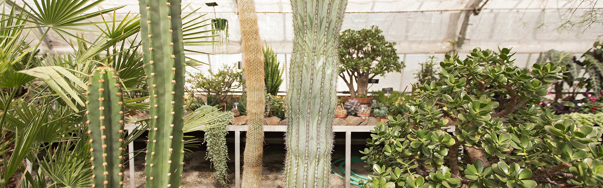 Gaiser Conservatory - City of Spokane, Washington