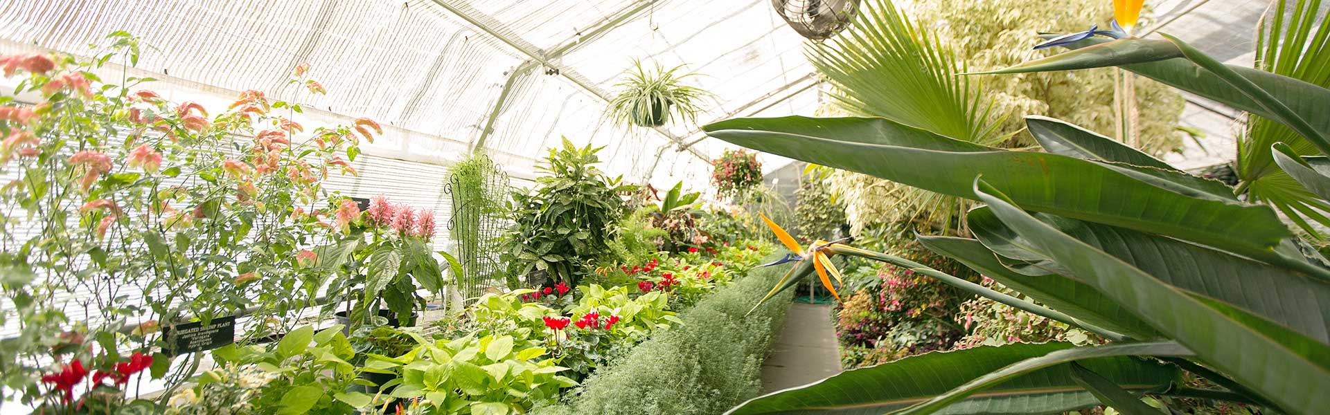 Gaiser Conservatory - City of Spokane, Washington