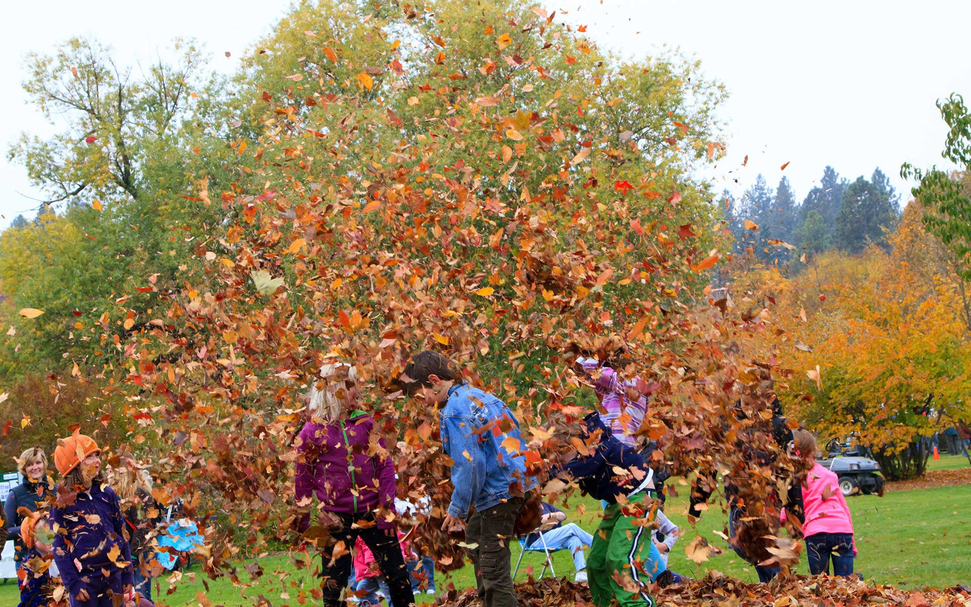 311 Helps You Plan Your November - City of Spokane, Washington