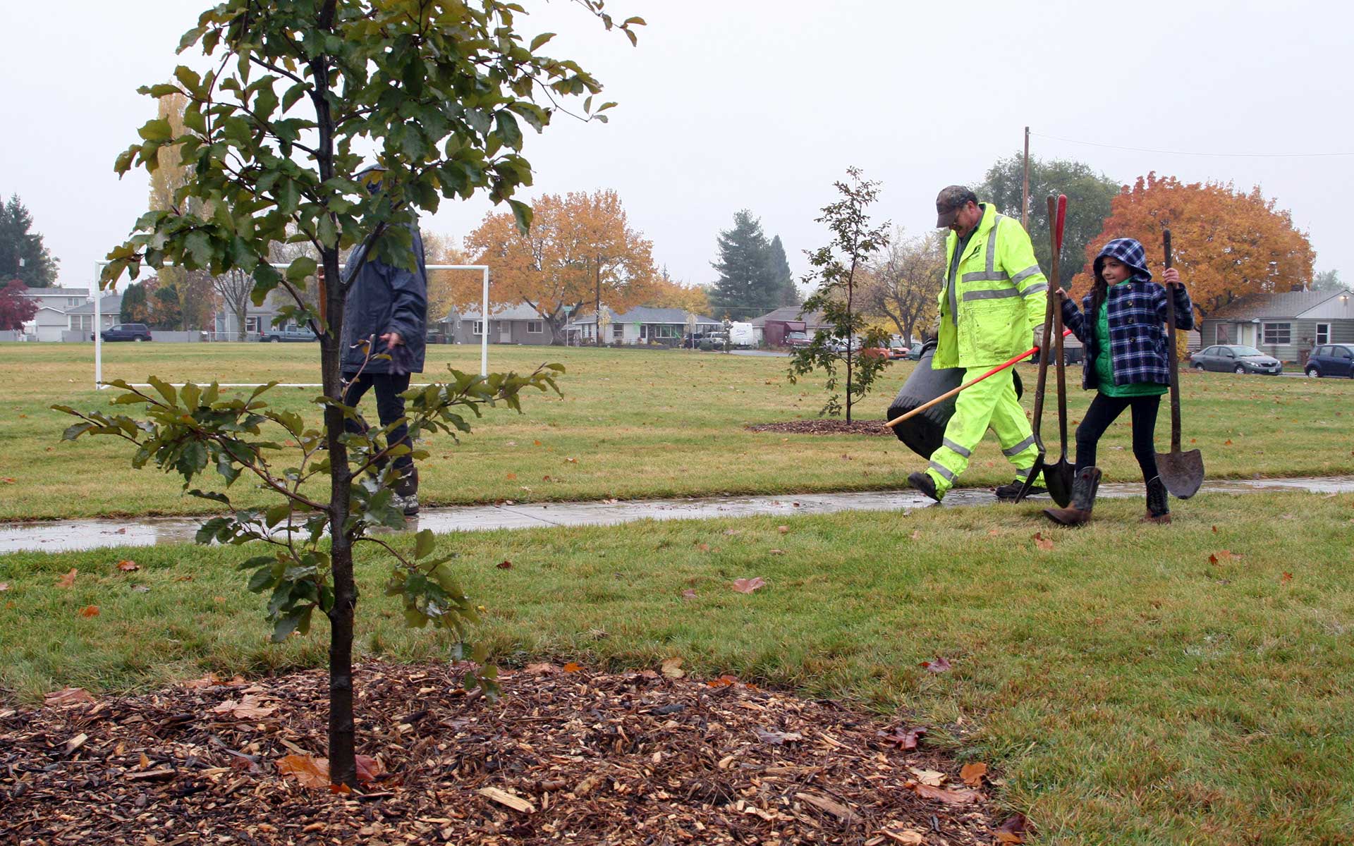 New Greening Neighborhoods projects are on the horizon - City of ...