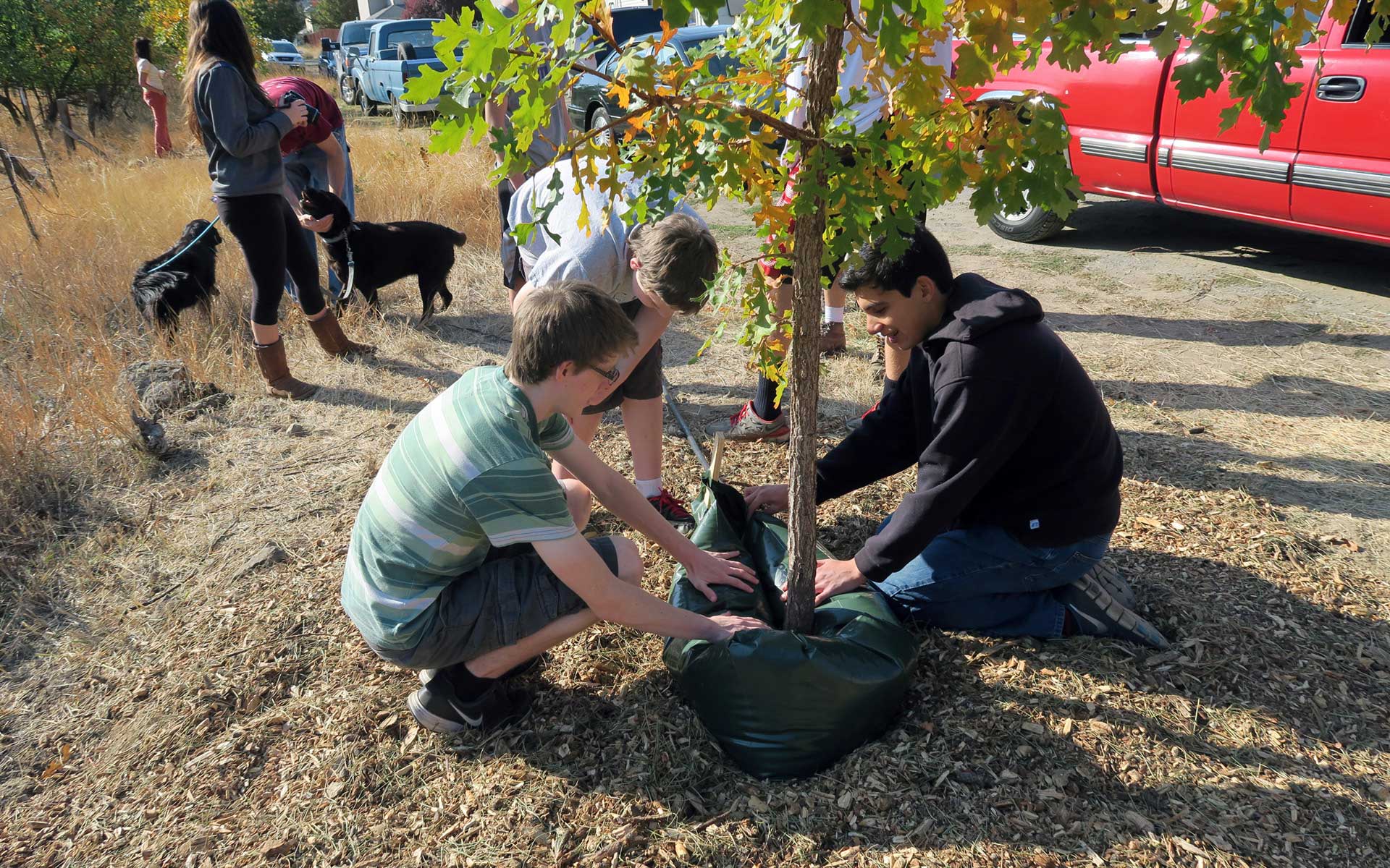Greening Grants put more trees in Spokane’s neighborhoods - City of ...