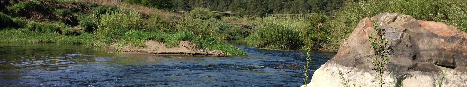Shoreline Master Program Amendment - Aquaculture Update - City of ...