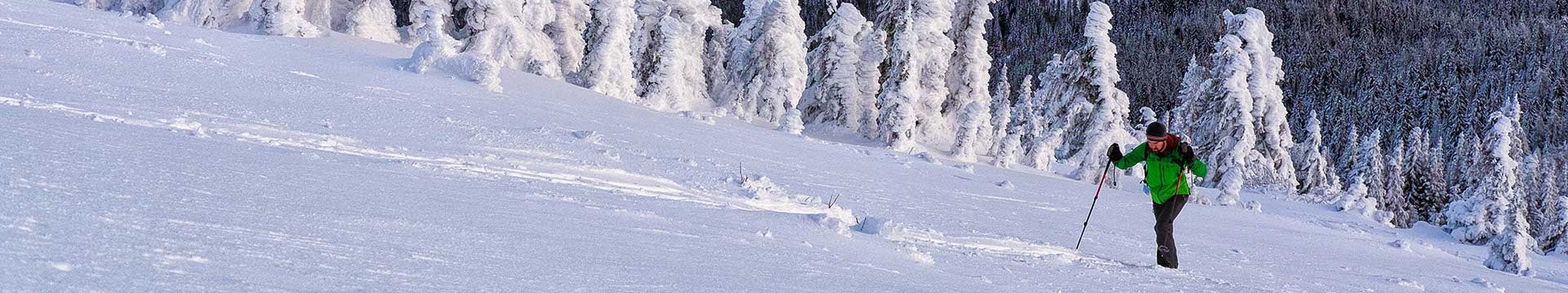 Snowshoe - City of Spokane, Washington