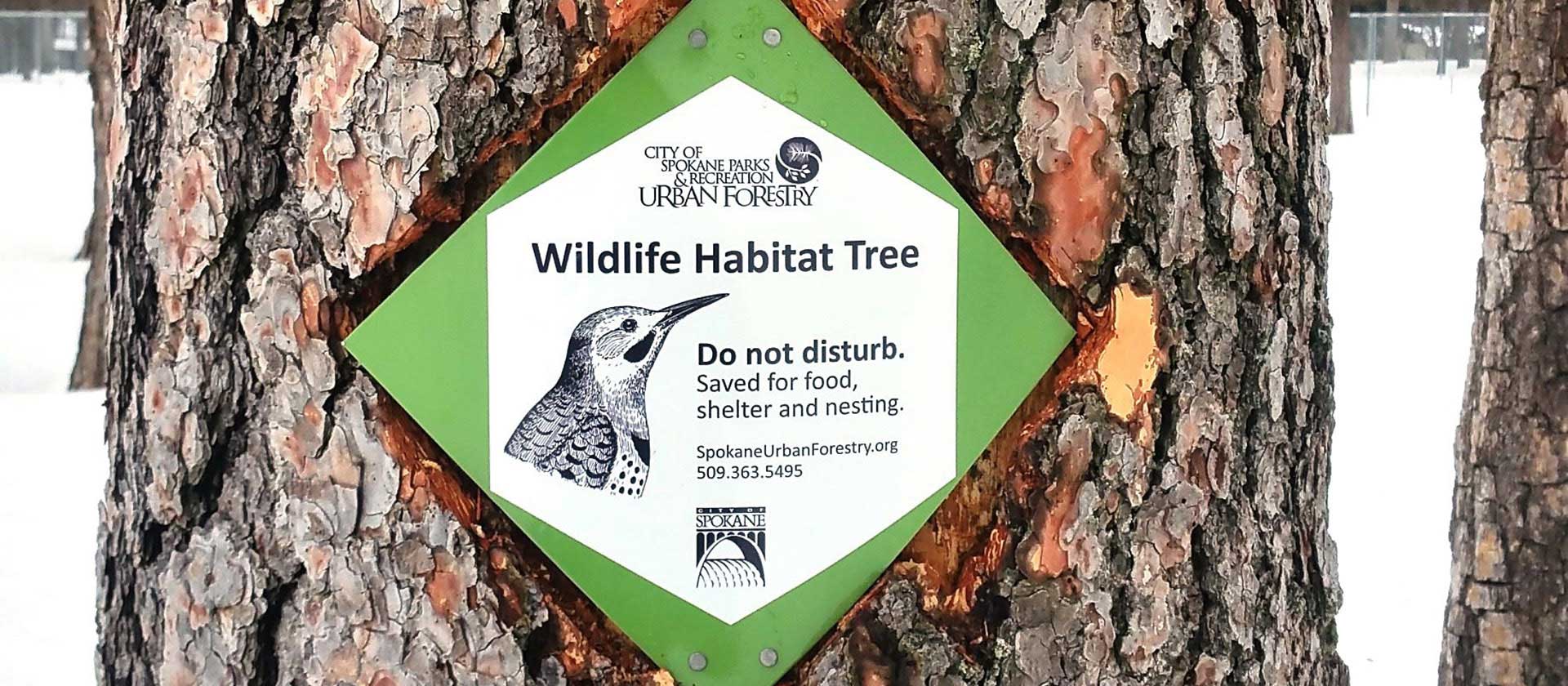 Urban Forestry - City of Spokane, Washington