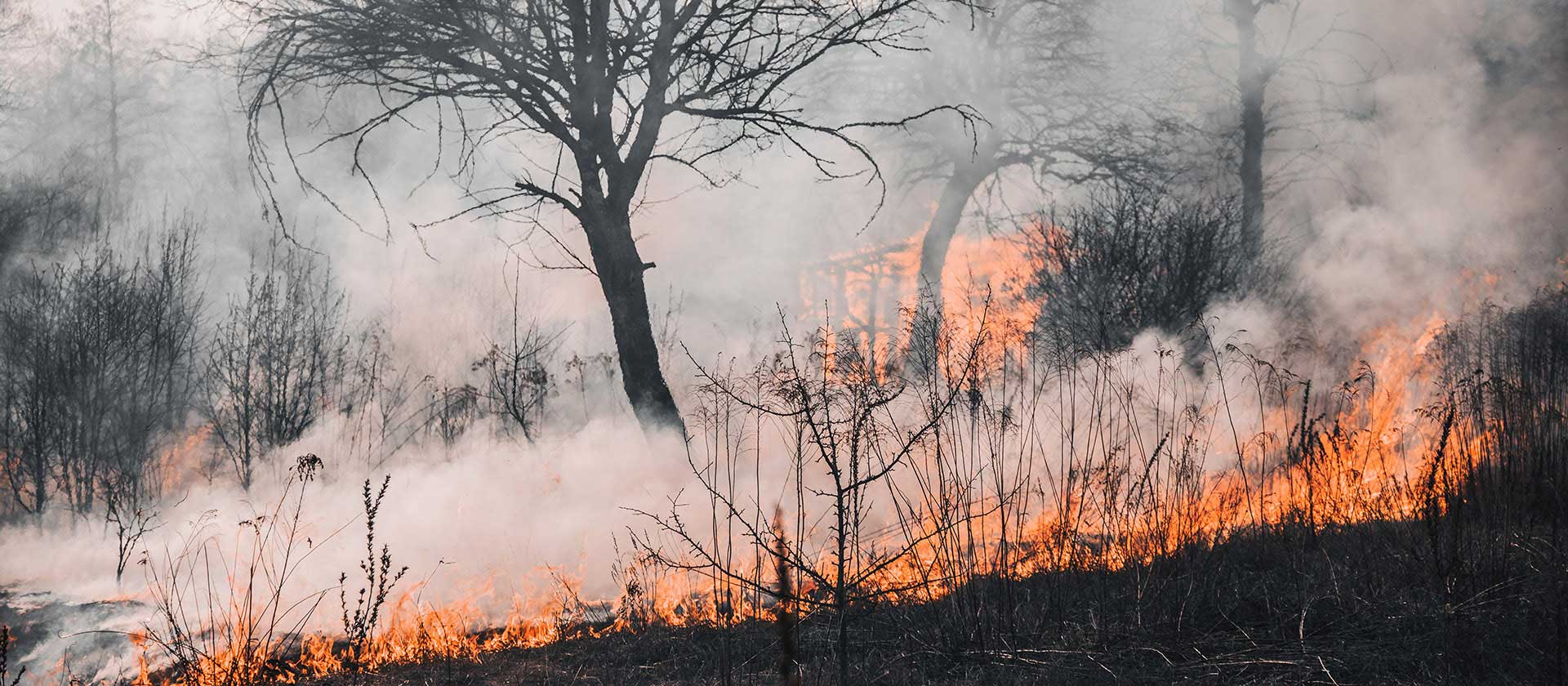 Emergency Management - City of Spokane, Washington