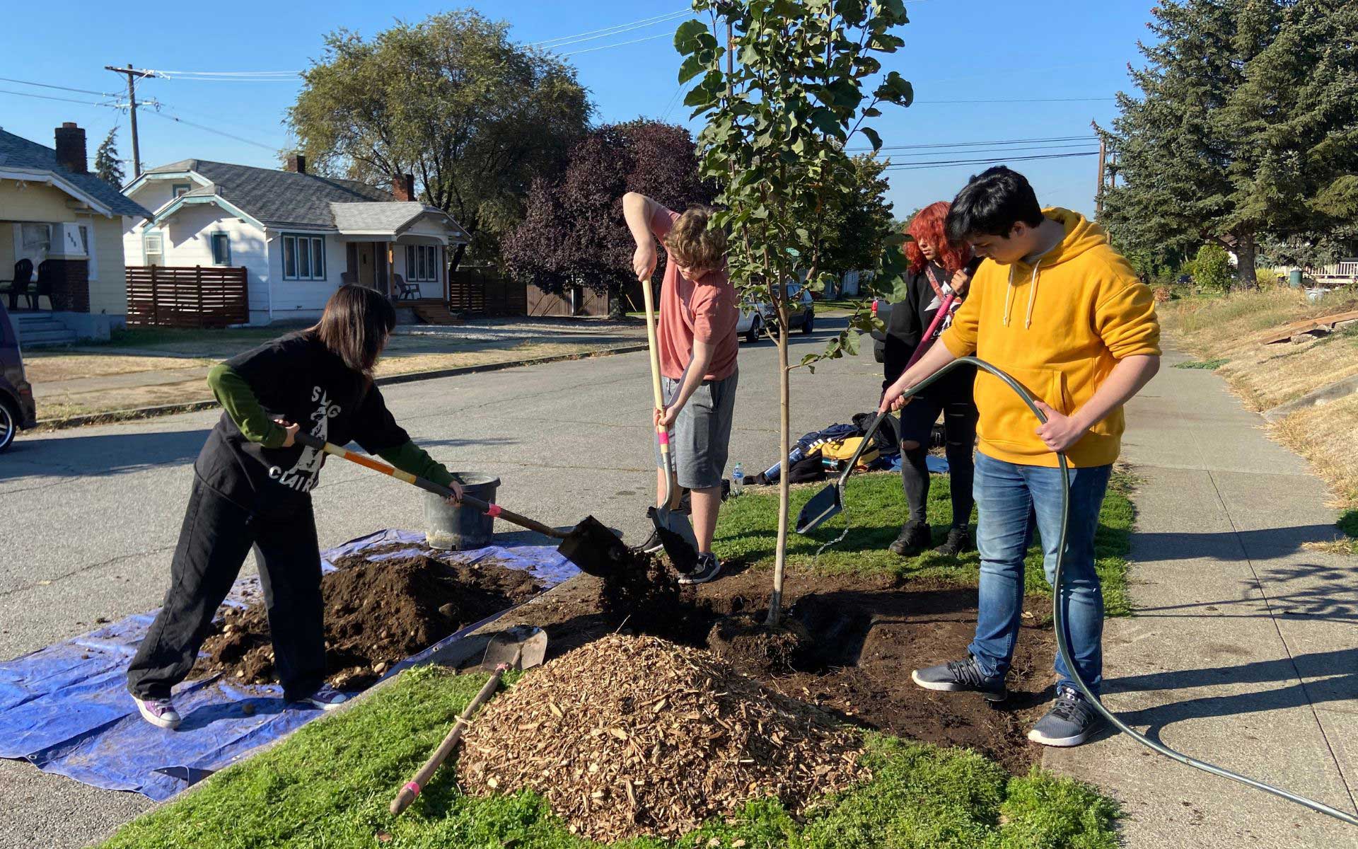 Spokane Awarded $12M Grant for Urban Forestry - City of Spokane, Washington